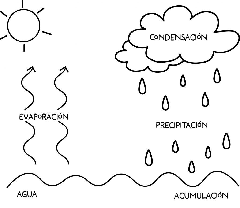 Modelo del ciclo del agua en una bolsa – The CIRCLE Activity Collection ...
